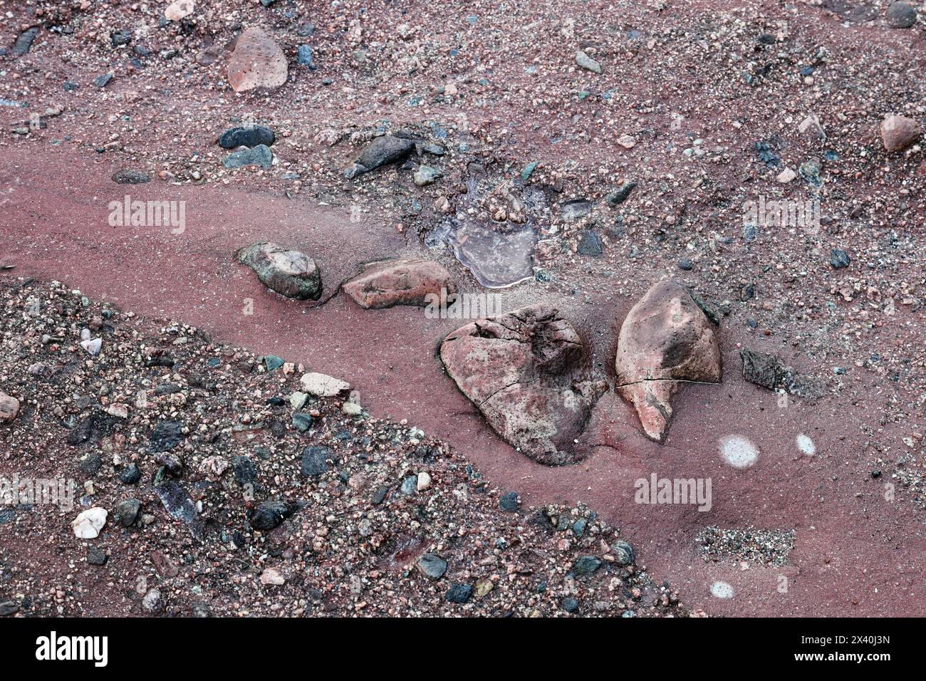 Conglomerate sedimentary rock hi-res stock photography and images - Alamy