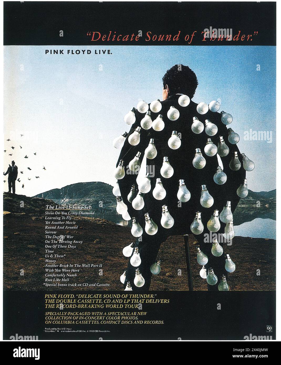 Pink Floyd Konsertplakater Concert Pink Floyd Project Wish You Were