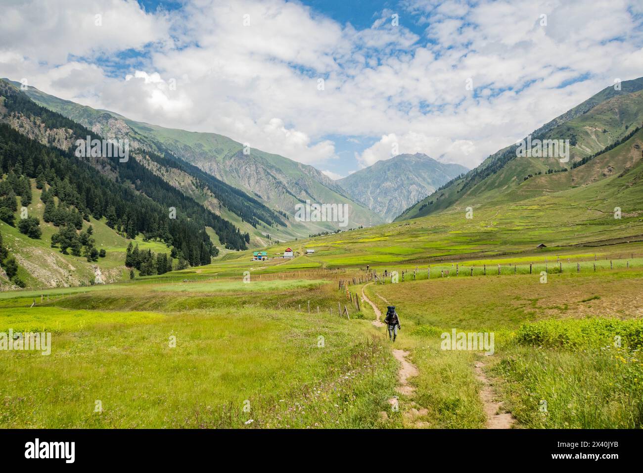 Trekking through the beautiful lush Warwan Valley, Pir Panjal Range ...