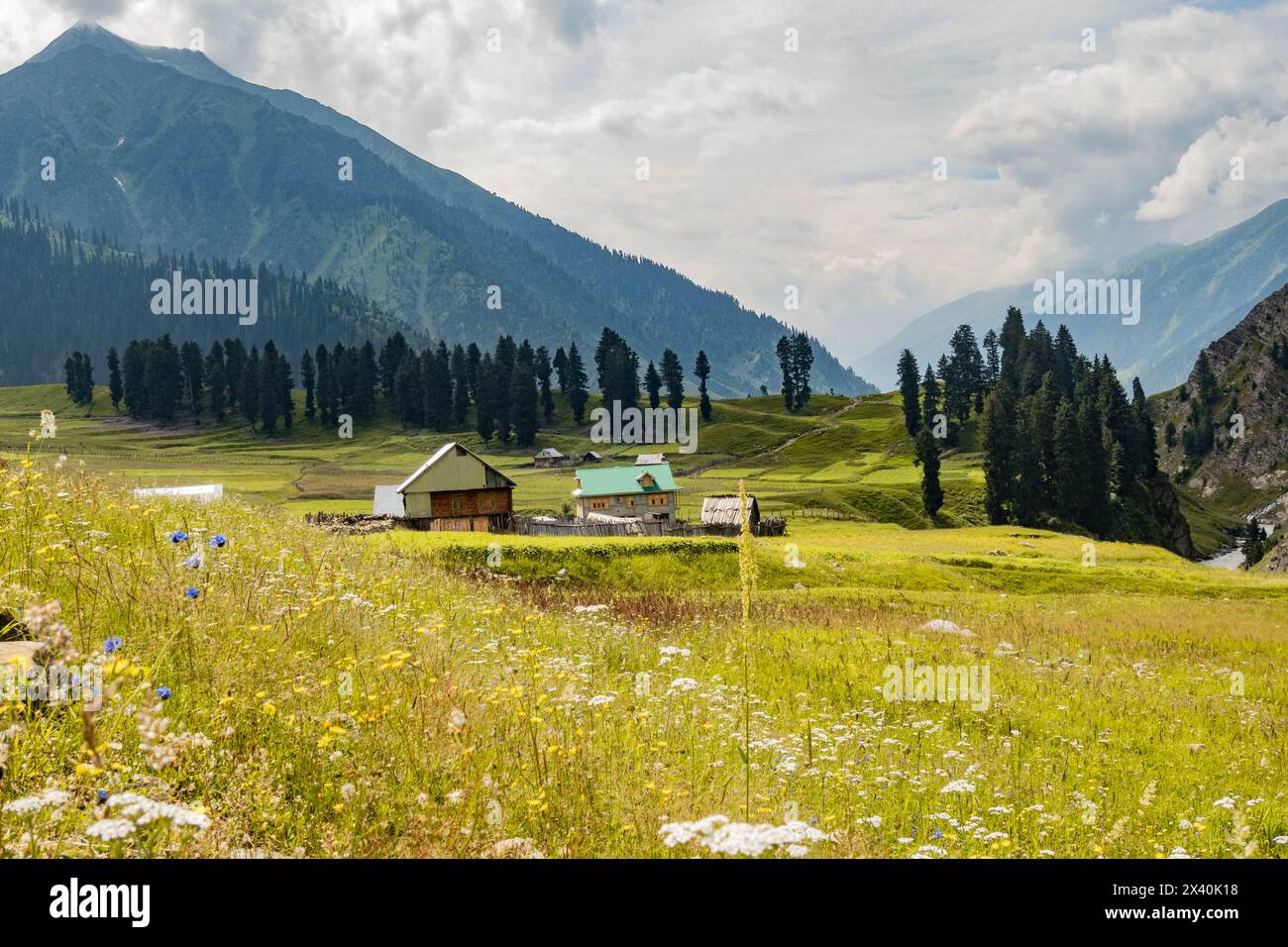 Scenic view along the beautiful verdant Warwan Valley, Kashmir, India ...