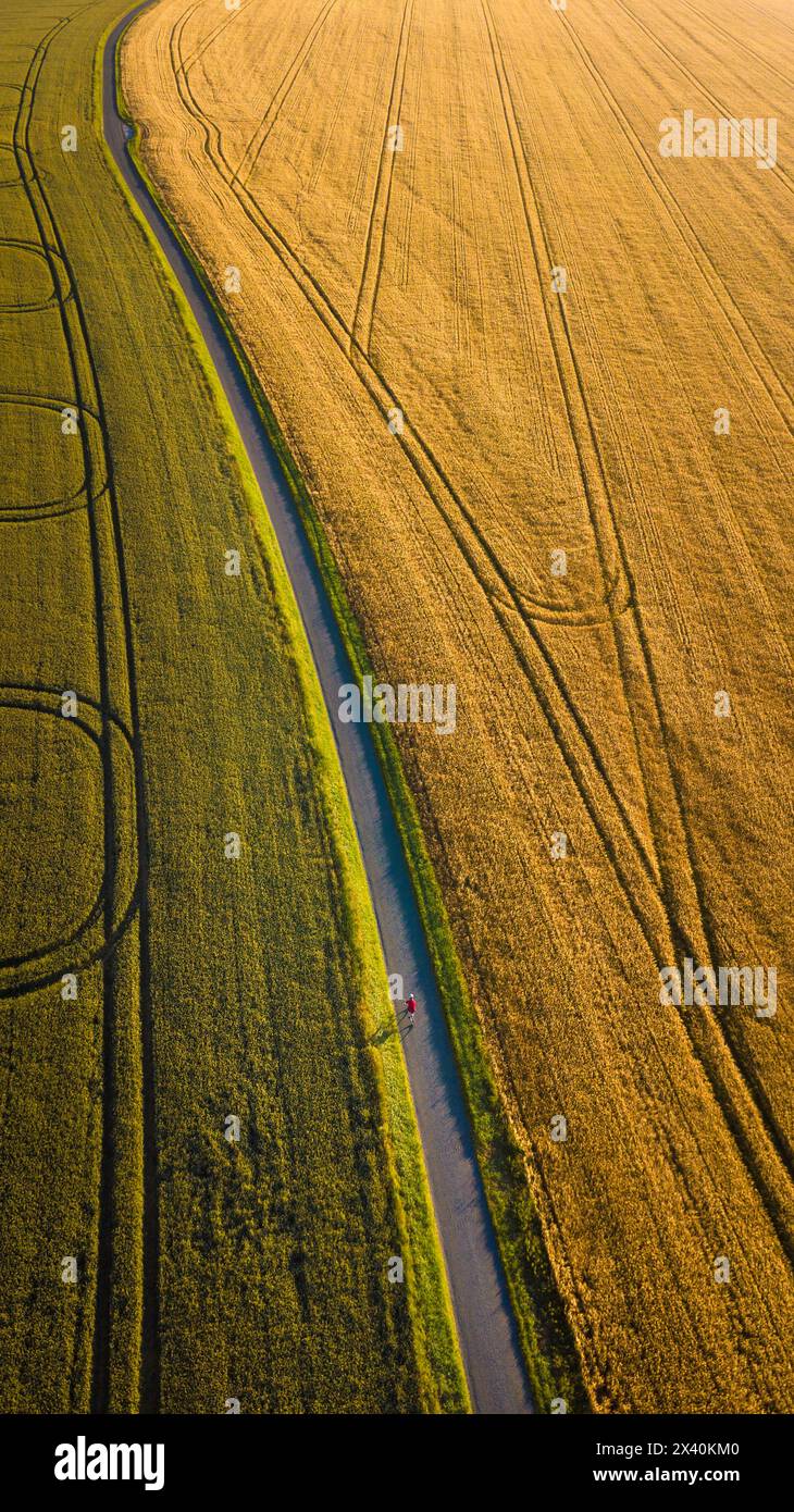 Man cycling up small road through fields near Duxford village ...