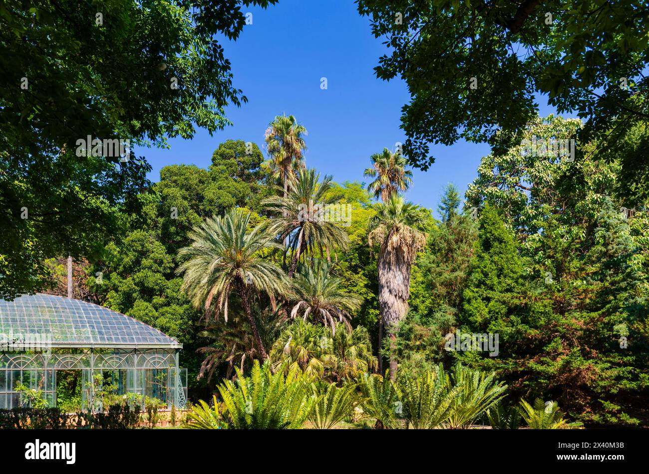 Plants and trees in a botanical garden; Sicily, Italy Stock Photo - Alamy