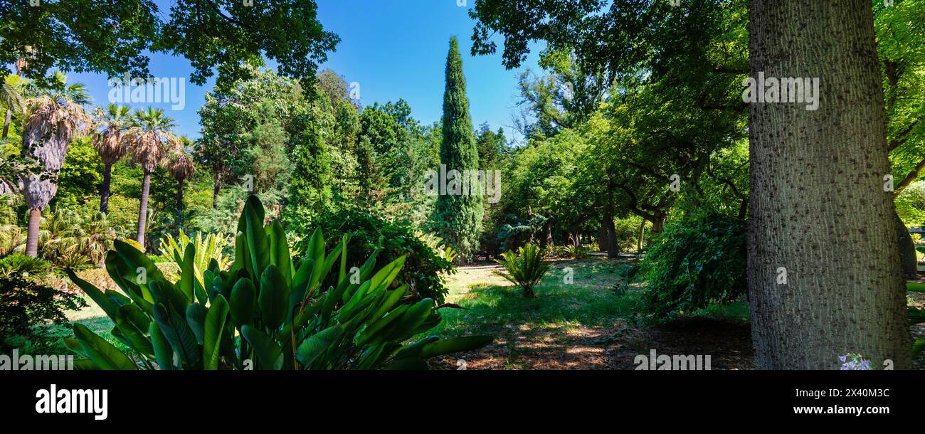 Plants and trees in a botanical garden; Sicily, Italy Stock Photo - Alamy