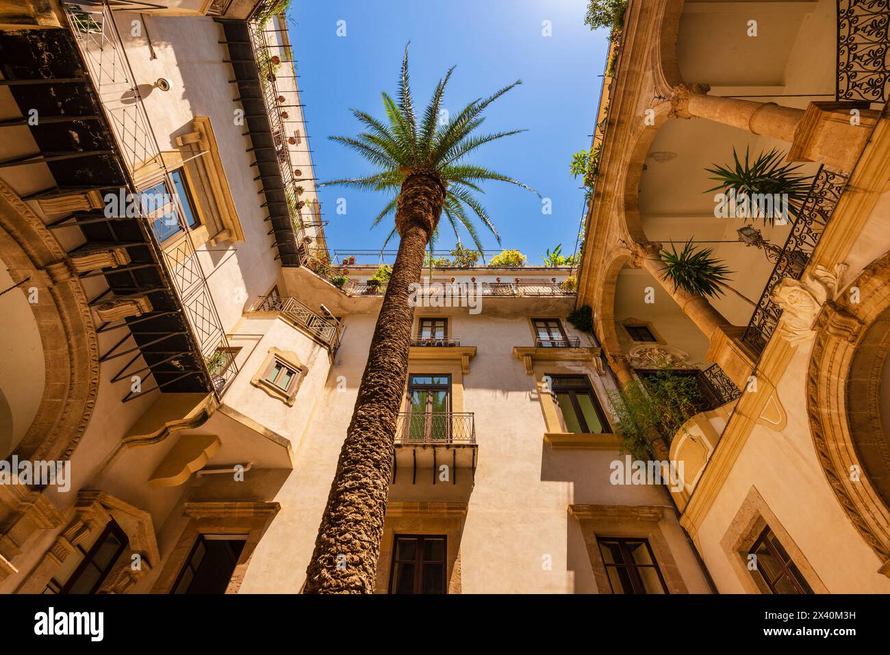 Interior patio of an old building with a large palm tree in the old ...