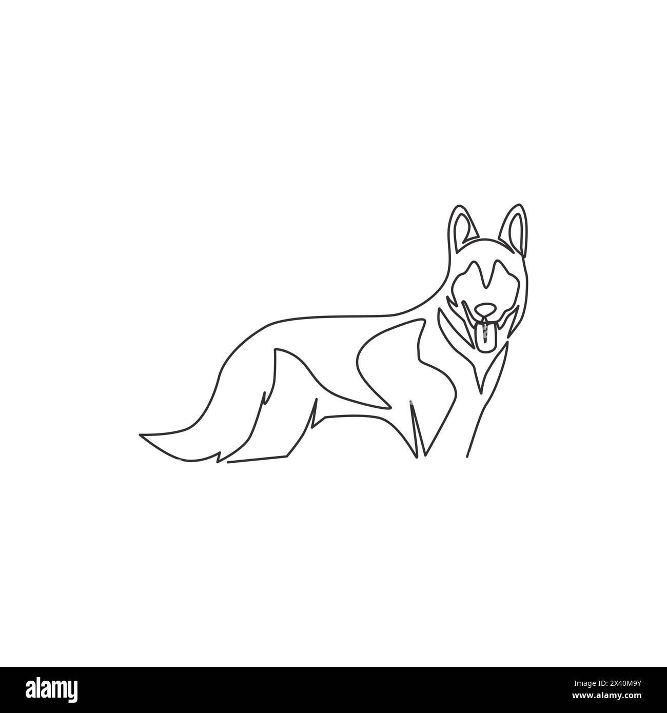 Siberian brand hi-res stock photography and images - Alamy