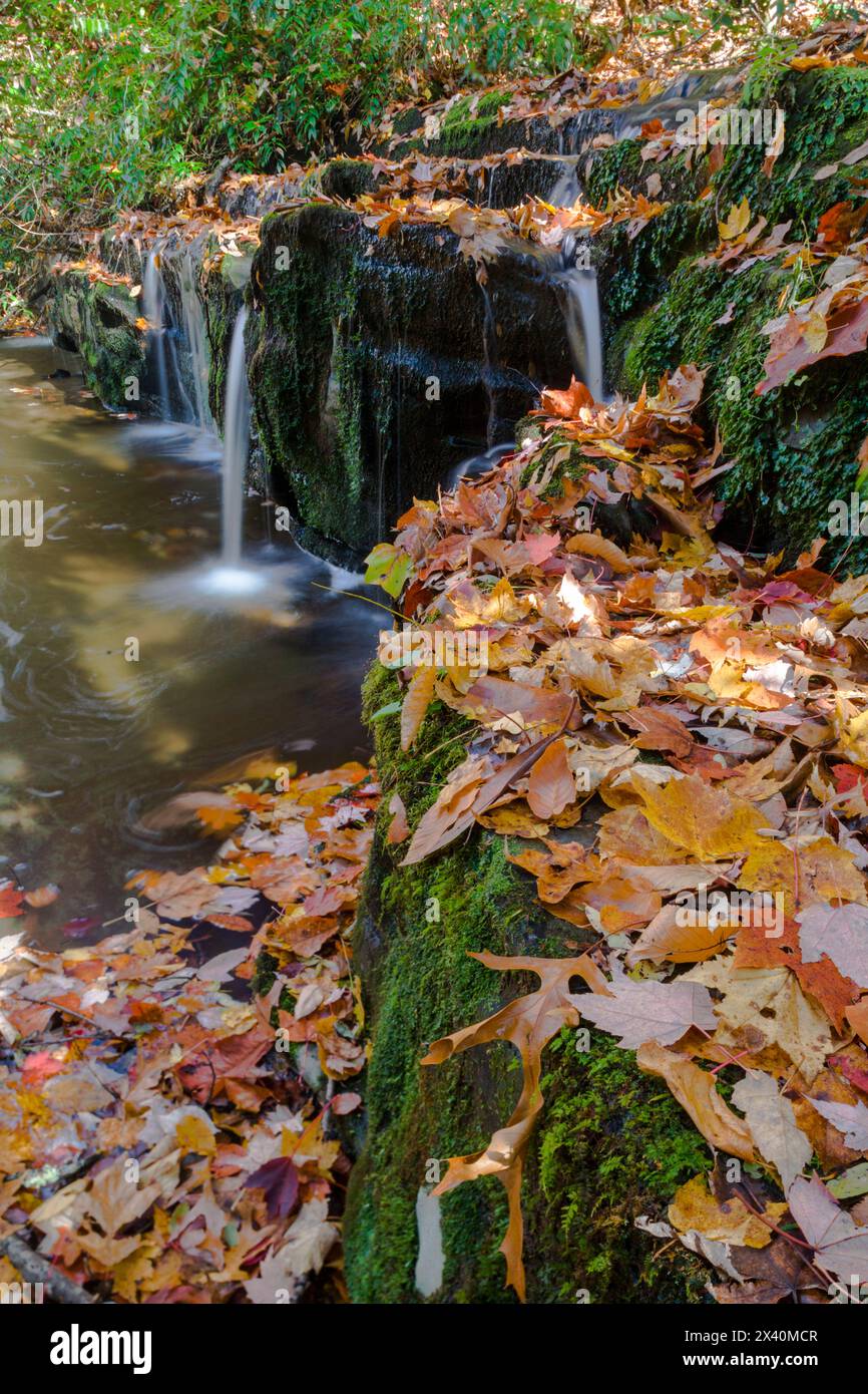 Series of small waterfalls with leaf and moss-covered rock ledges in ...