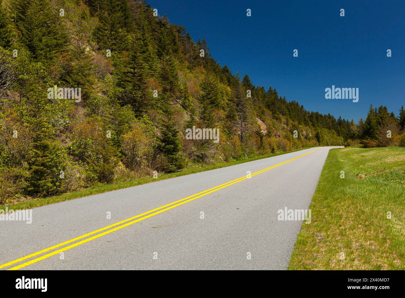Scenic of the Blue Ridge Parkway on a bright springtime day, North ...