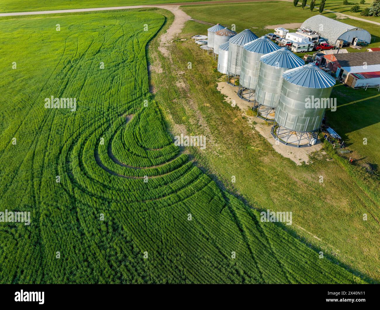 Aerial view of large metal grain bins along a green field of grain ...