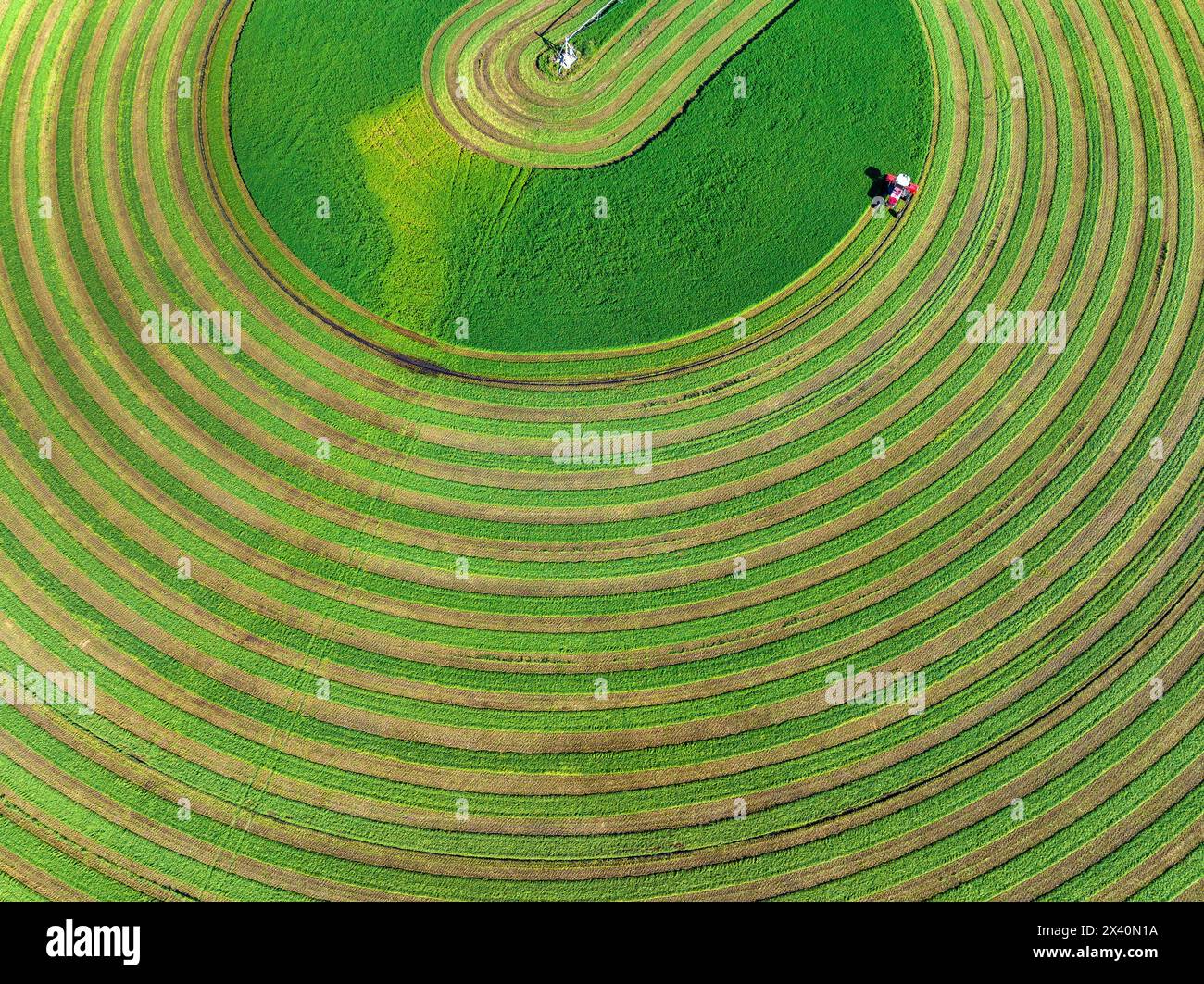 Aerial view of a green field being cut in a circular pattern with ...