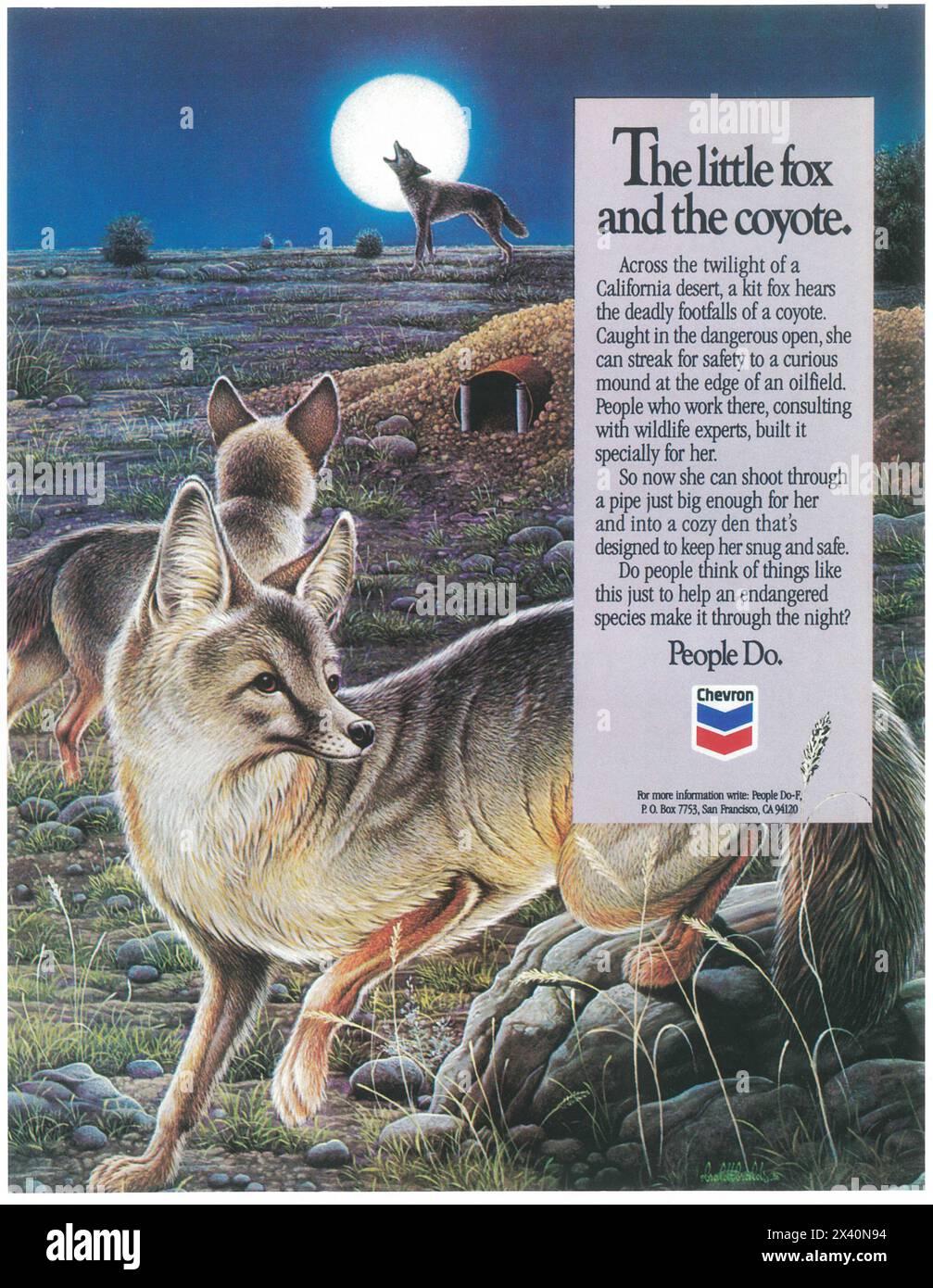 1988 Chevron ad - "People do" with California desert fox and coyote ...