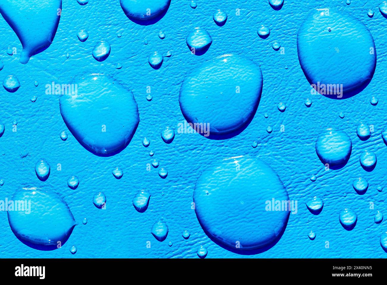 Close-up of large water droplets on a blue vinyl background; Studio ...
