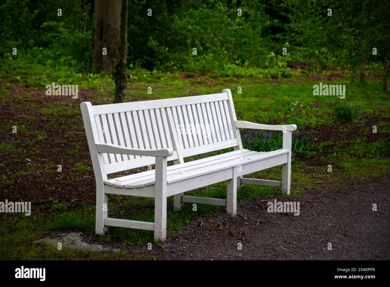 White bench in the Ockenburgh park in the center of The Hague ...