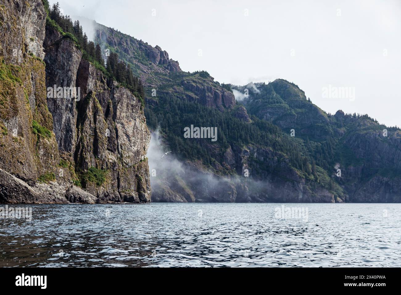 Resurrection bay alaska hi-res stock photography and images - Alamy