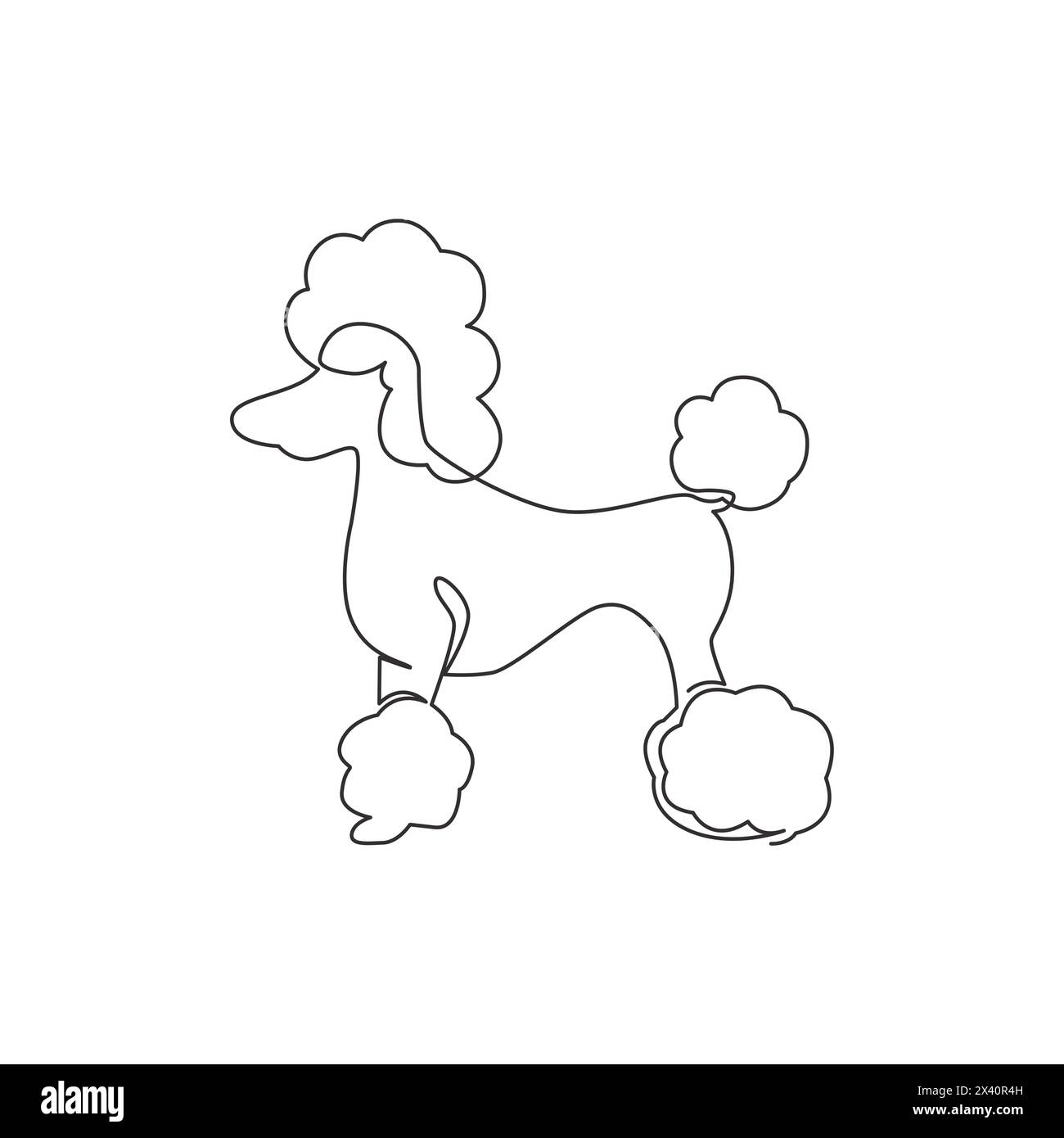 One single line drawing of simple cute poodle puppy dog icon. Pet shop ...