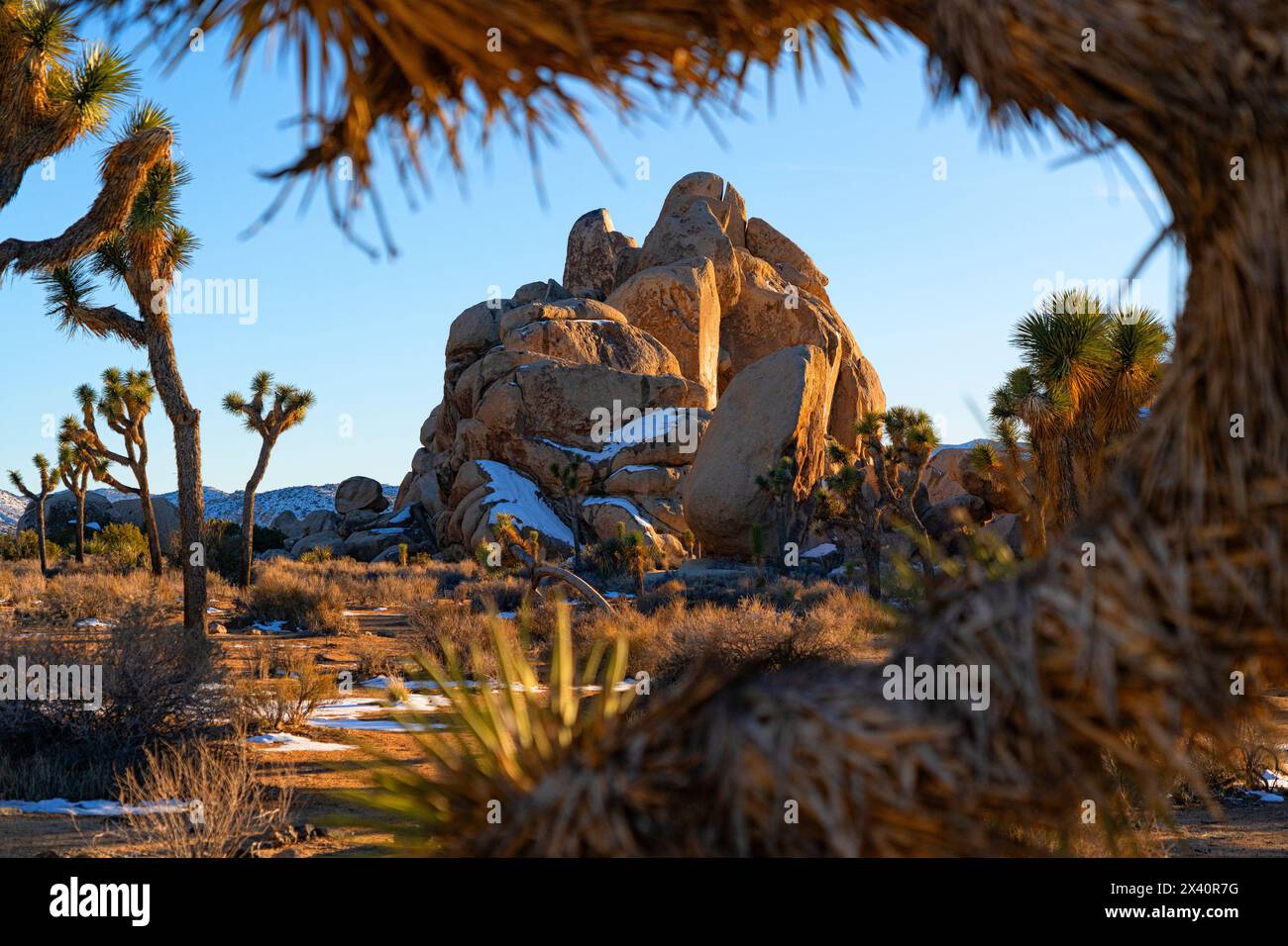 Rugged beauty in Joshua Tree National Park with rock formations, Joshua ...