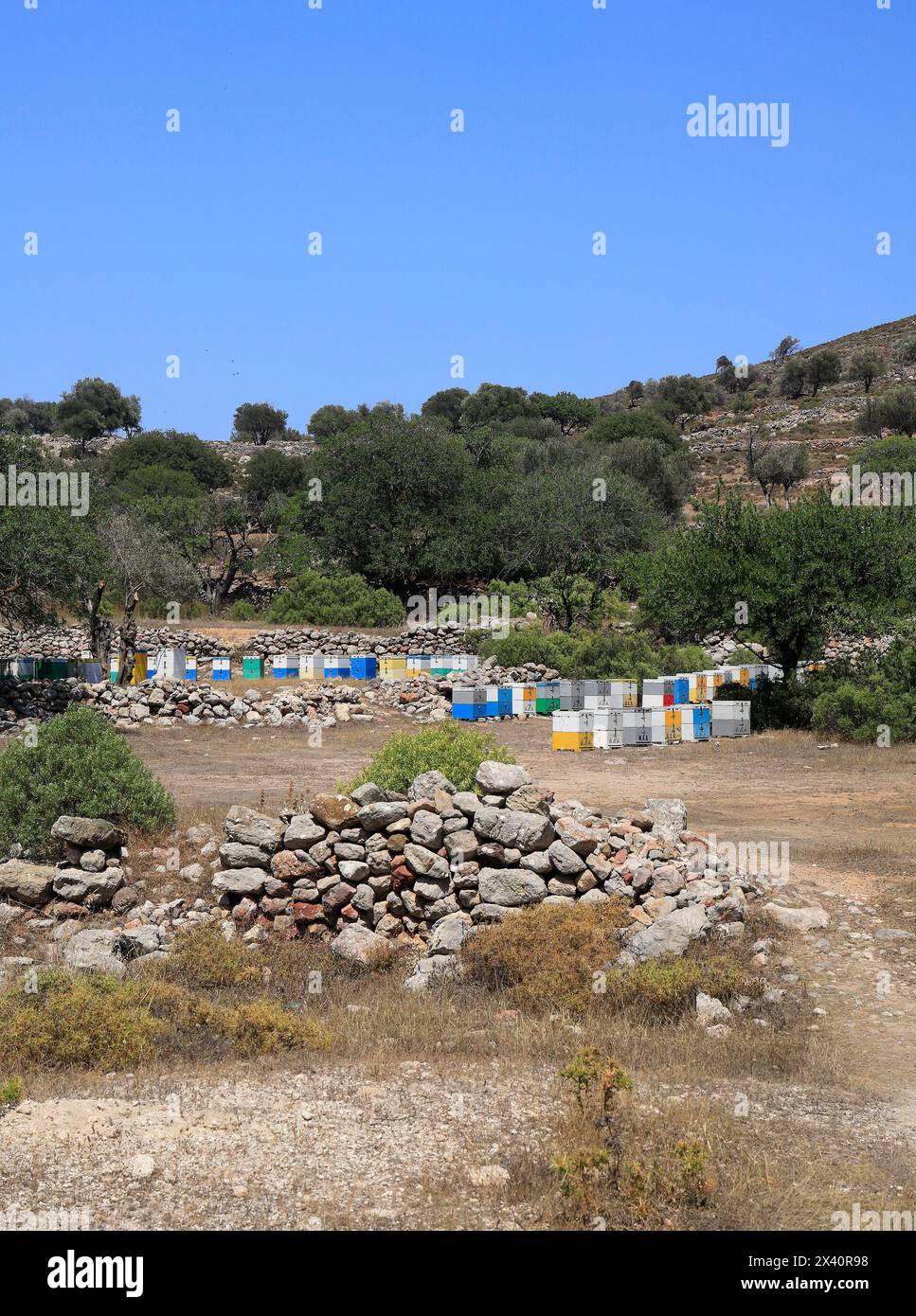 Many bee hives on a hill in the countryside, Tilos island, Dodecanese ...