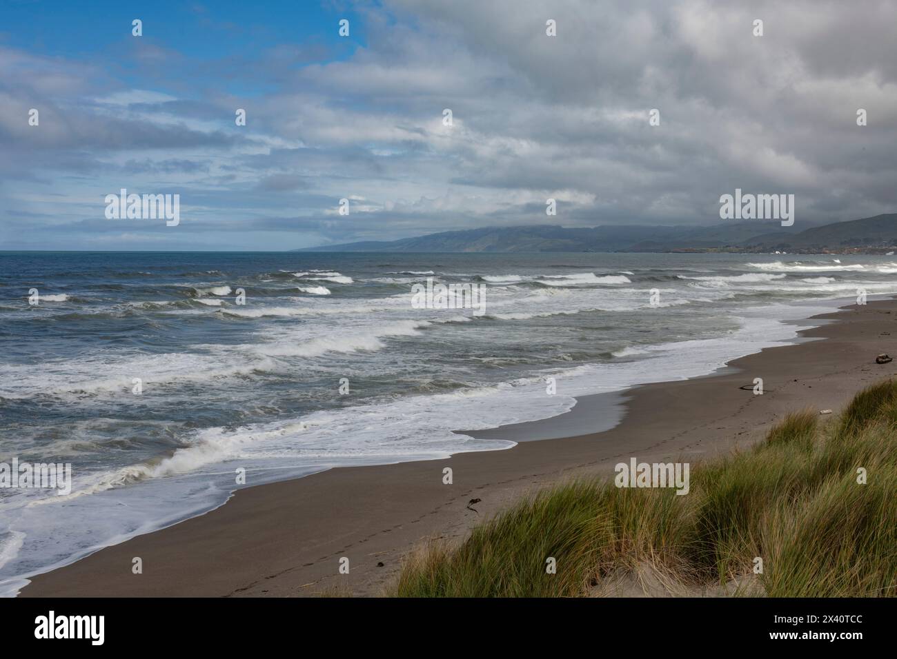 Beach and the Pacific Ocean surf at Bodega Dunes Campground, Bodega Bay ...