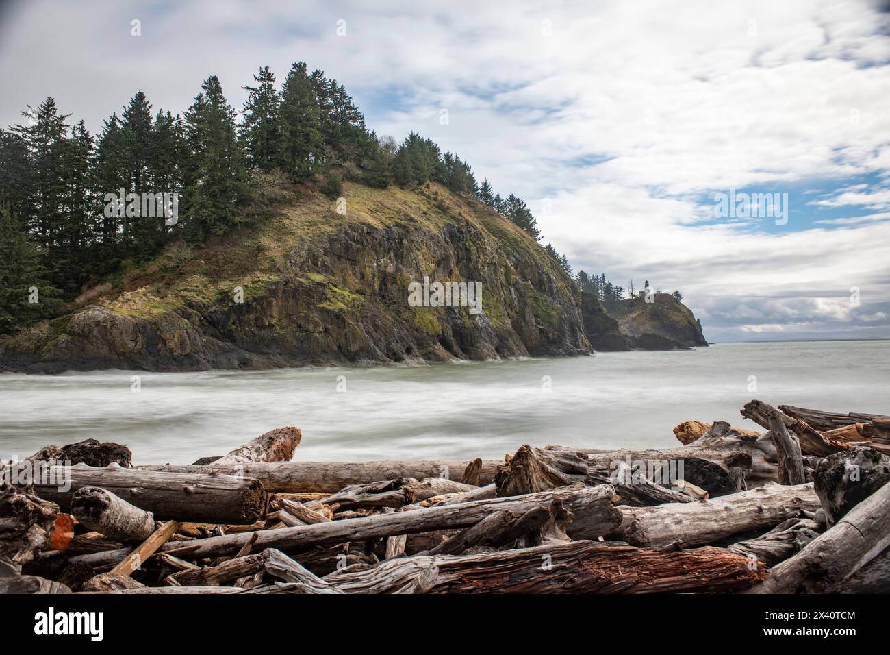 Driftwood gathered on the shore of Waikiki Beach below Cape ...