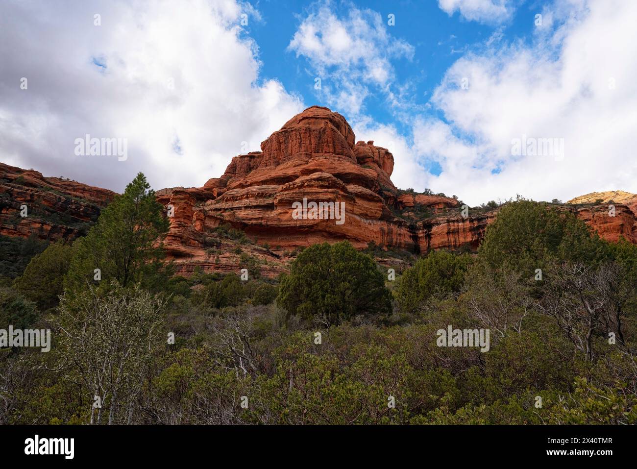 Chaparral biomes hi-res stock photography and images - Alamy