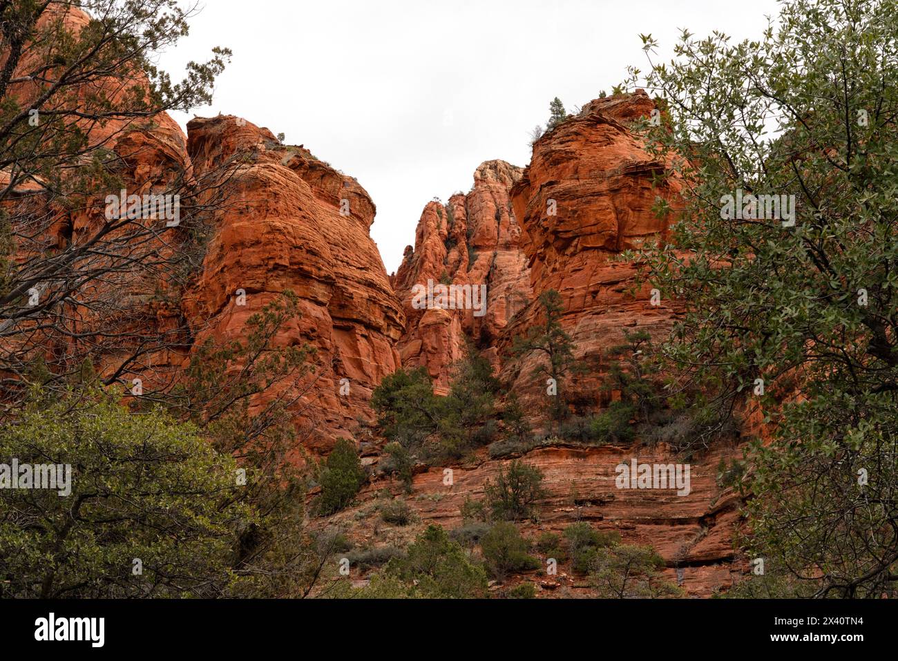 Sedona is located in the interior chaparral, semi-desert grassland ...