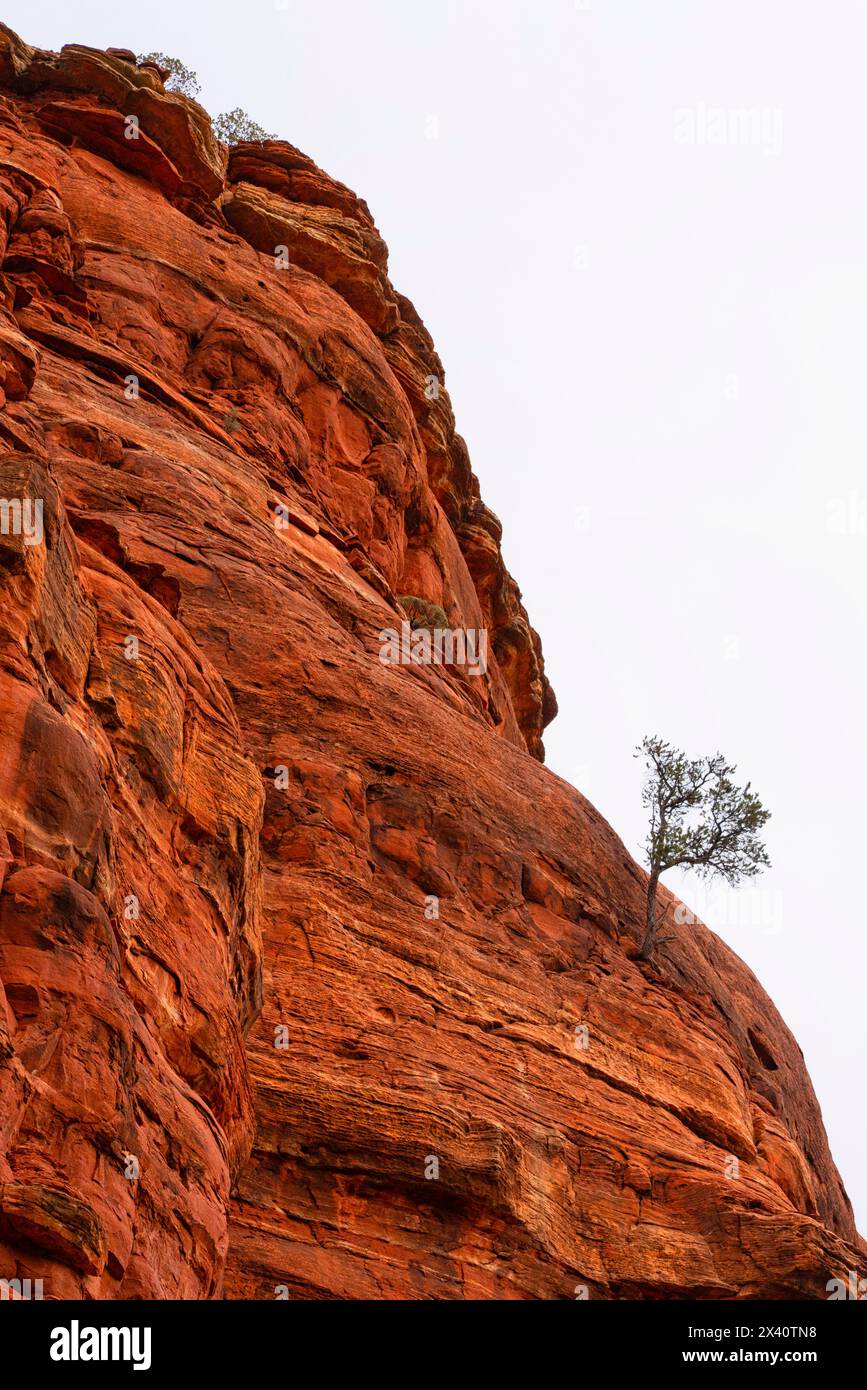 Chaparral biomes hi-res stock photography and images - Alamy