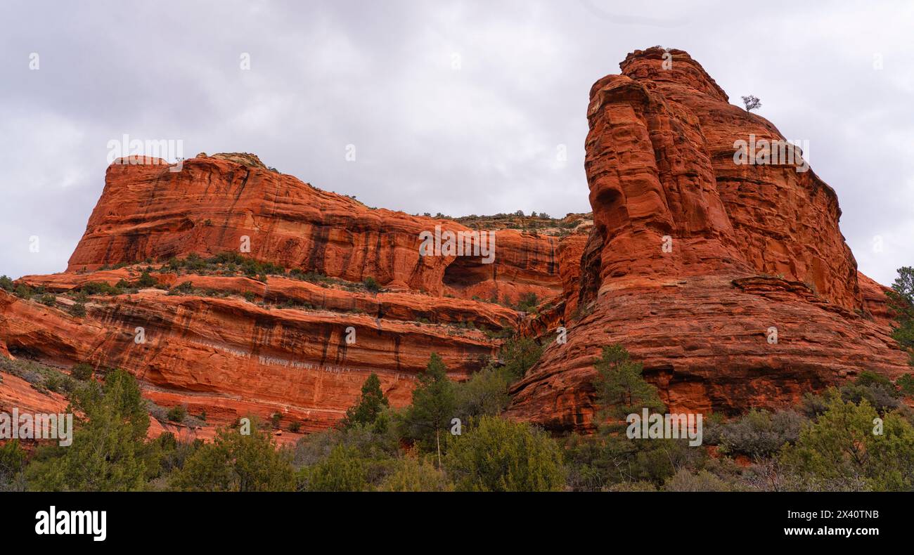 Arizona Biomes BIOSPHERE