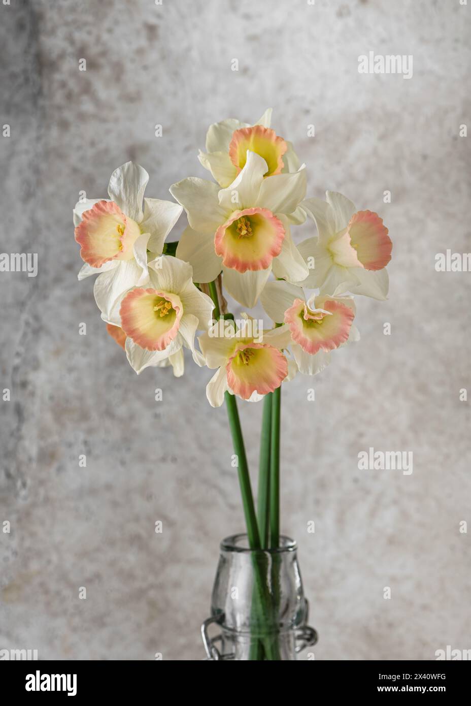 Bell and bottle hi-res stock photography and images - Alamy