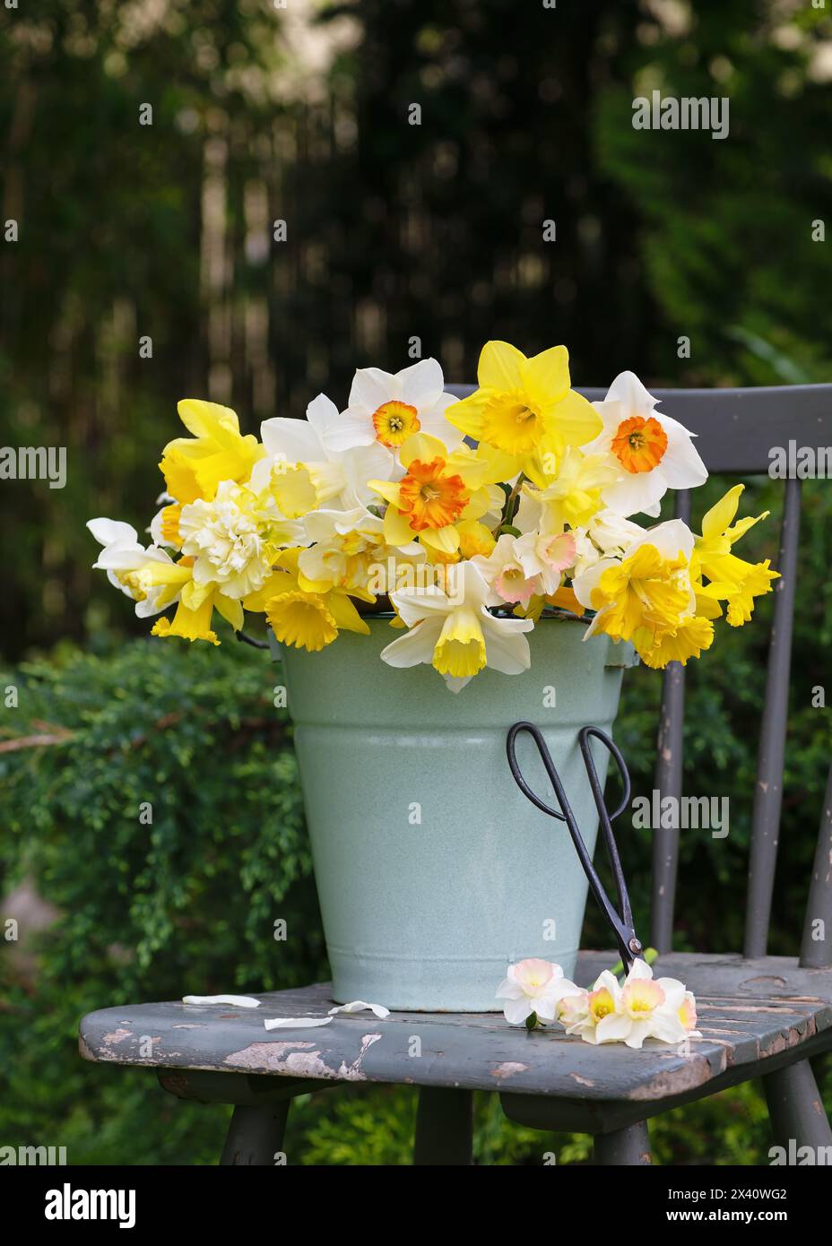 Spring floristic arrangement with fresh colorful and different variety ...