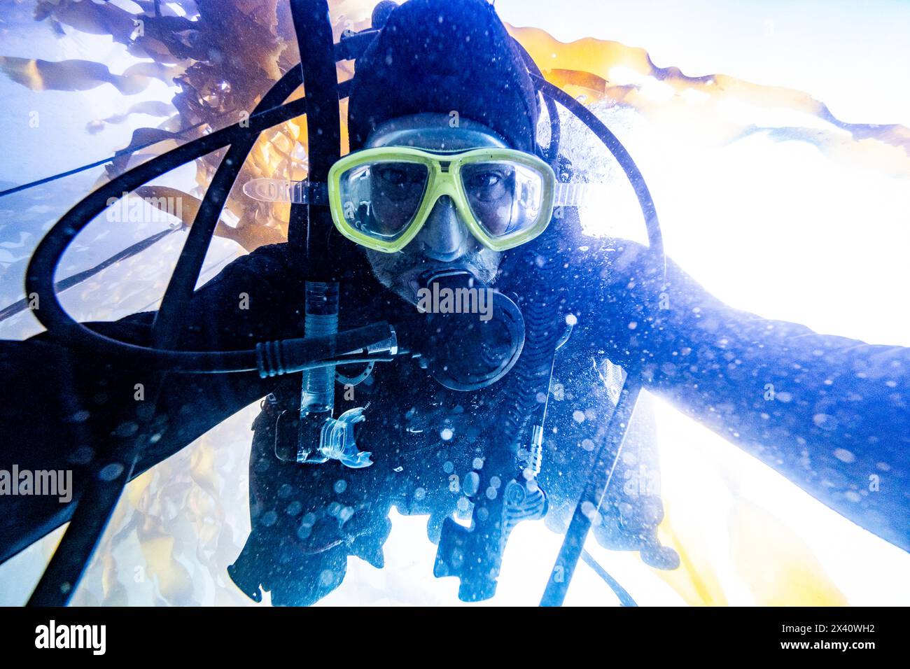 Close-up of a photographer scuba diving and looking at the camera for a ...