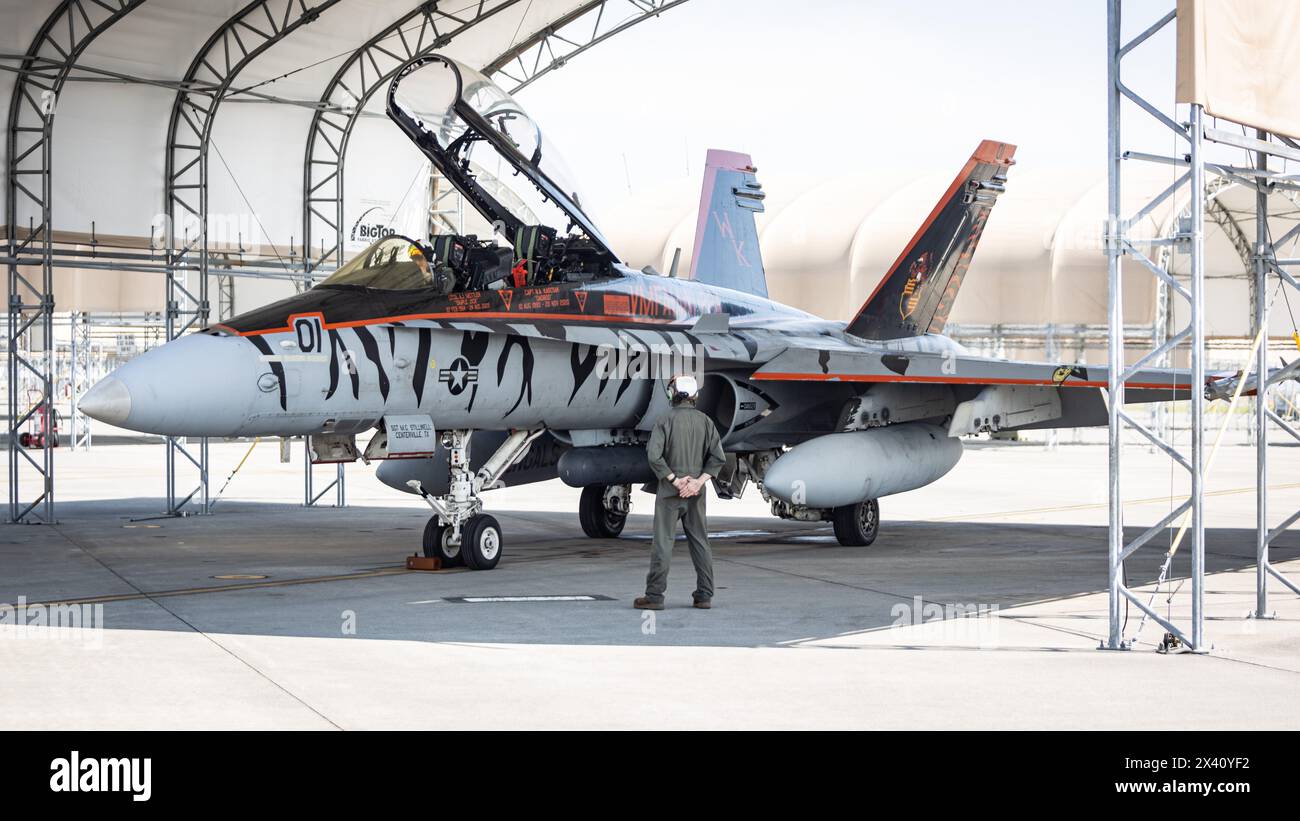 A U.S. Marine Corps F/A-18 Hornet aircraft with Marine All-Weather ...