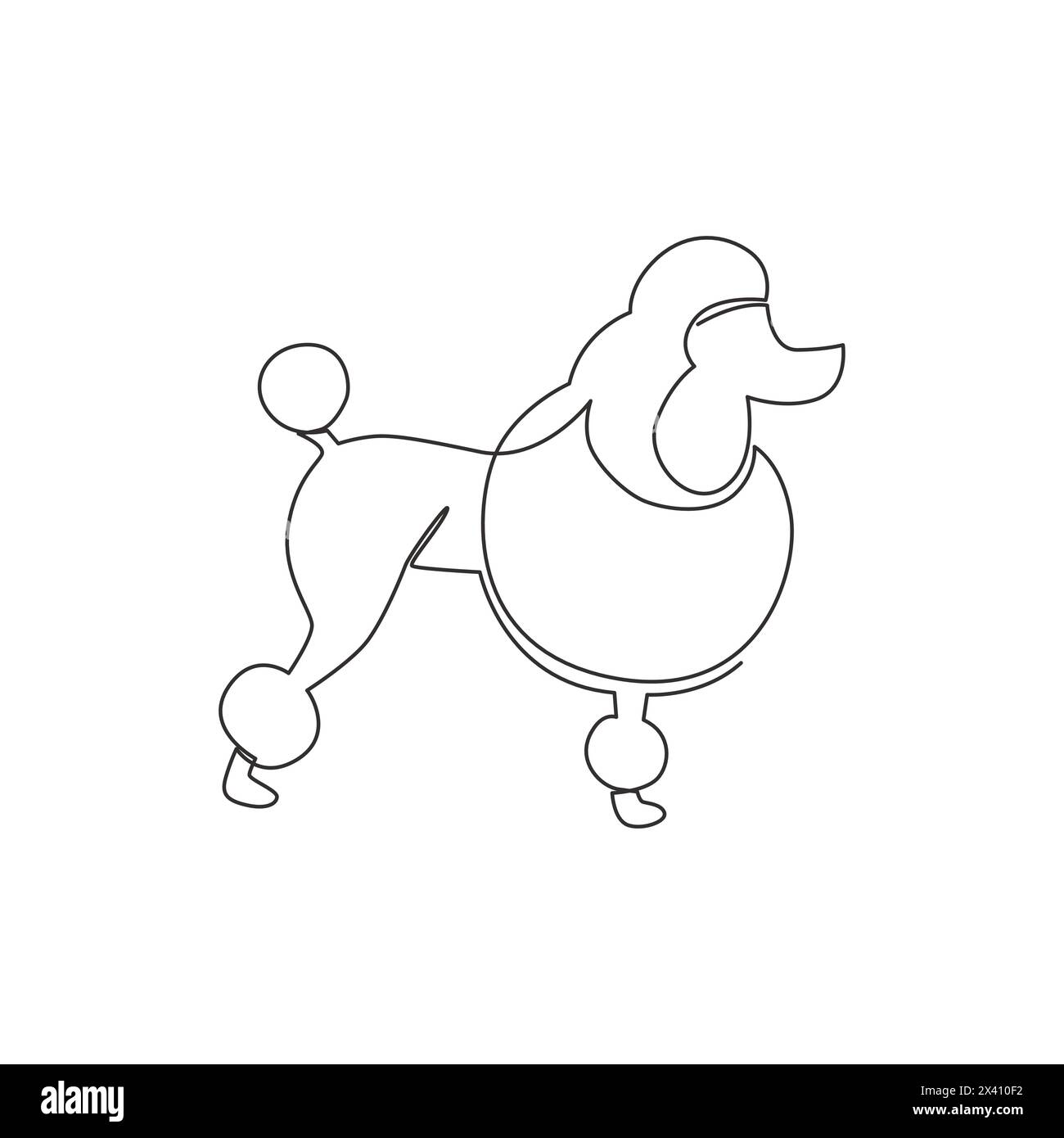 Cute poodle drawing hi-res stock photography and images - Alamy