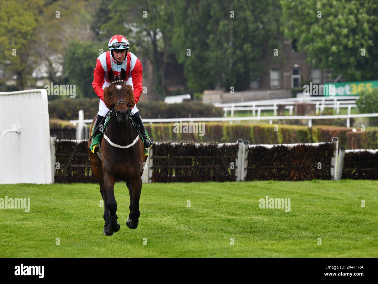 racehorse MAASAI MARA and jockey JACK TUDOR Stock Photo - Alamy