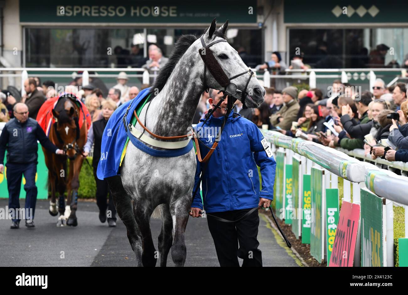 racehorse ELIXIR DE NUTZ Stock Photo - Alamy