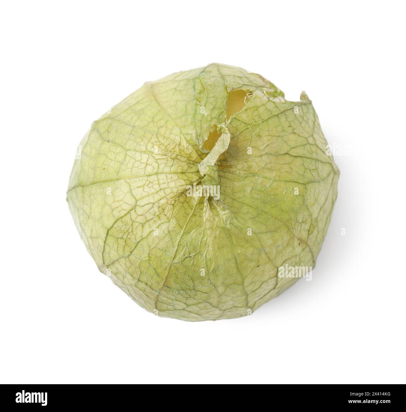 Fresh green tomatillo with husk isolated on white, top view Stock Photo ...