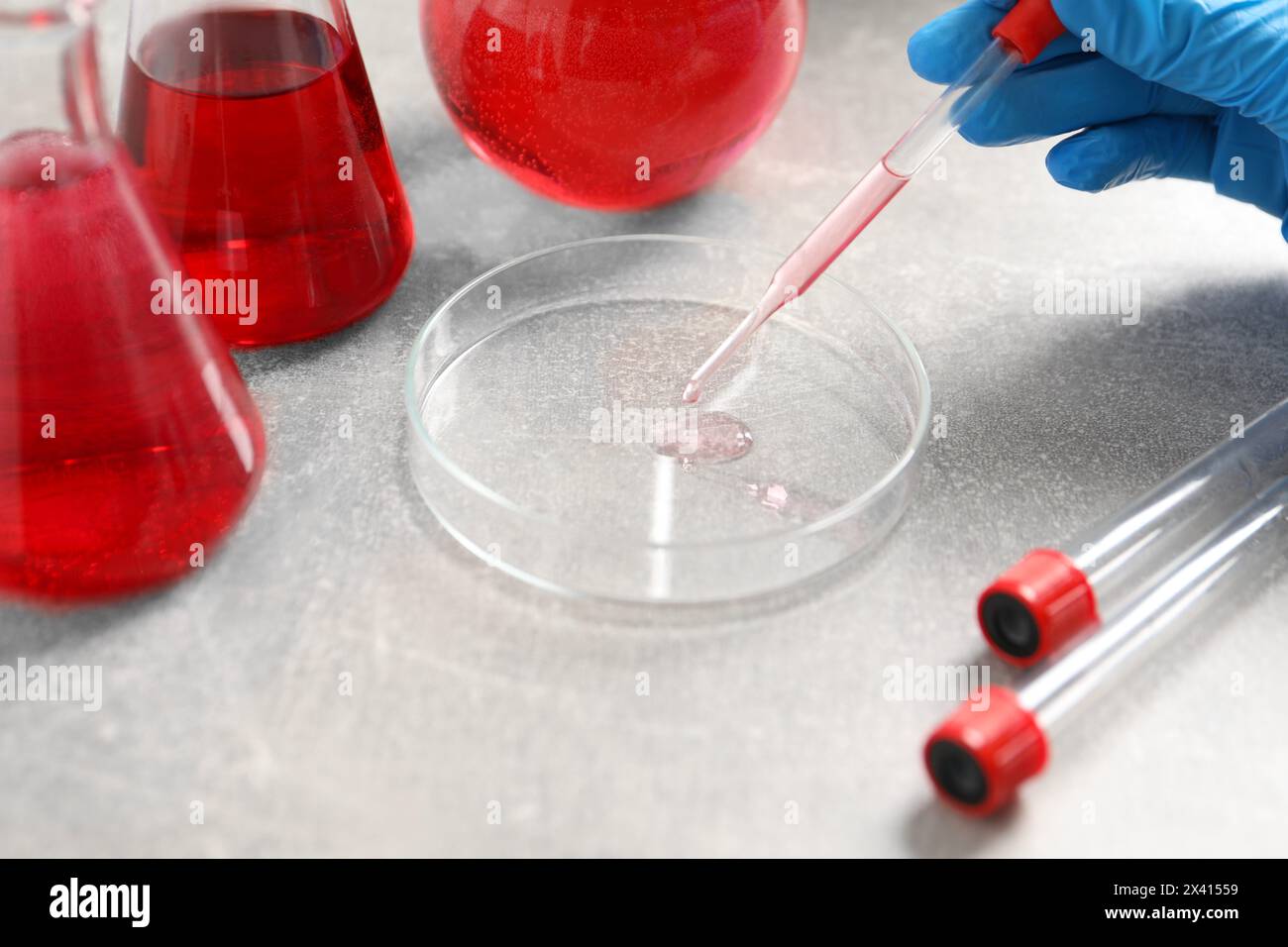 Laboratory analysis. Dripping red liquid into Petri dish on light grey ...