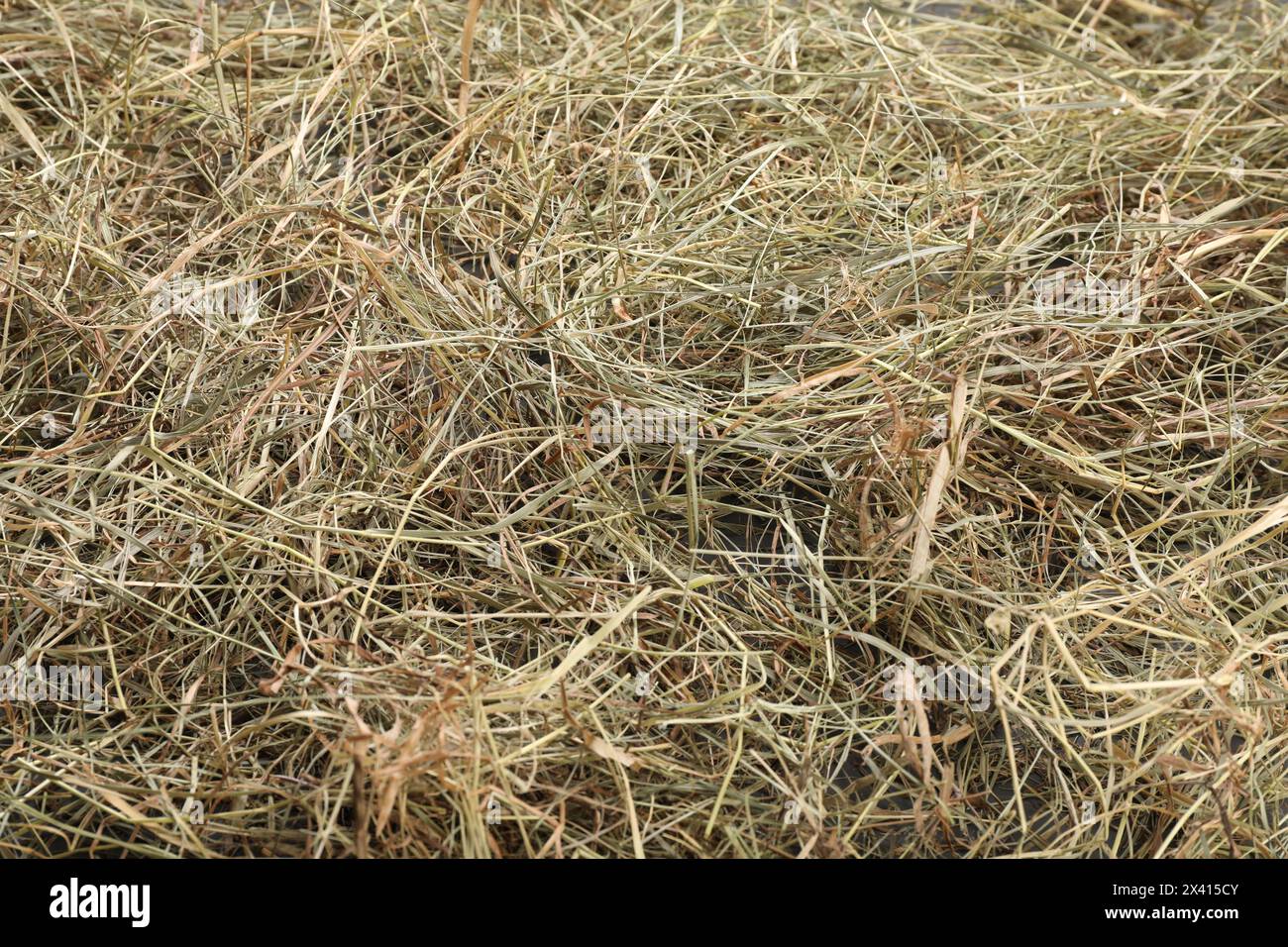 Pile of dried hay as background, closeup Stock Photo - Alamy