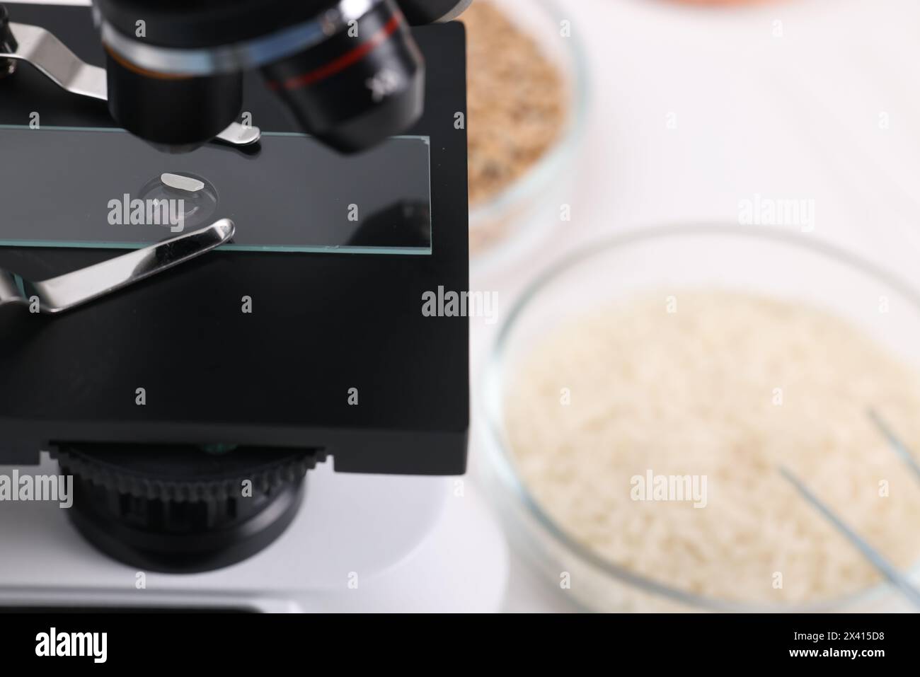 Food quality control. Glass slide with rice grain under microscope on ...