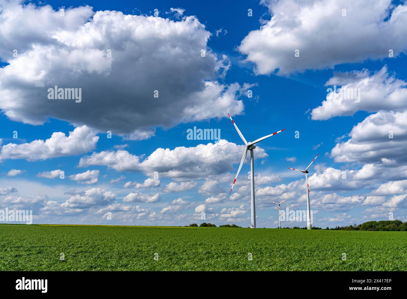 Wind farm, wind turbine, wind turbines from the manufacturer Enercon ...