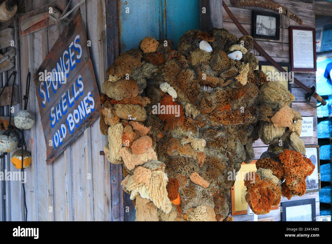 Mannequin america hi-res stock photography and images - Alamy