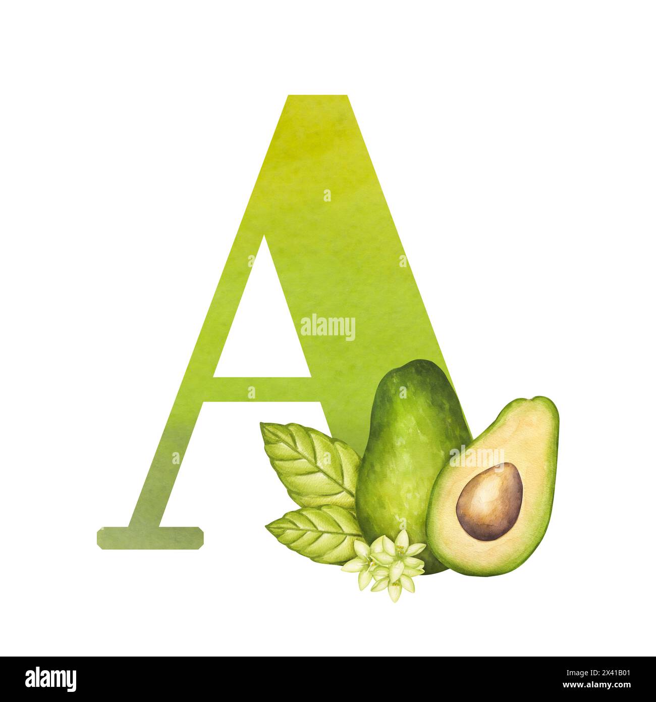 Avocado with alphabet letter A. For children learning practice ABC ...