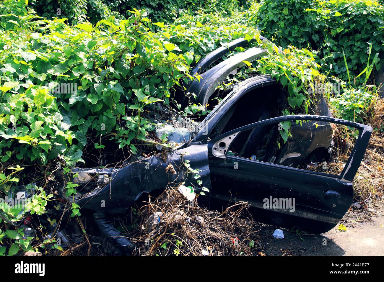 Car covered in garbage hi-res stock photography and images - Alamy