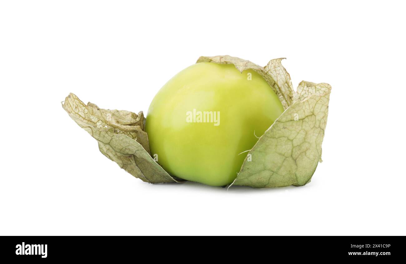 Fresh green tomatillo with husk isolated on white Stock Photo - Alamy