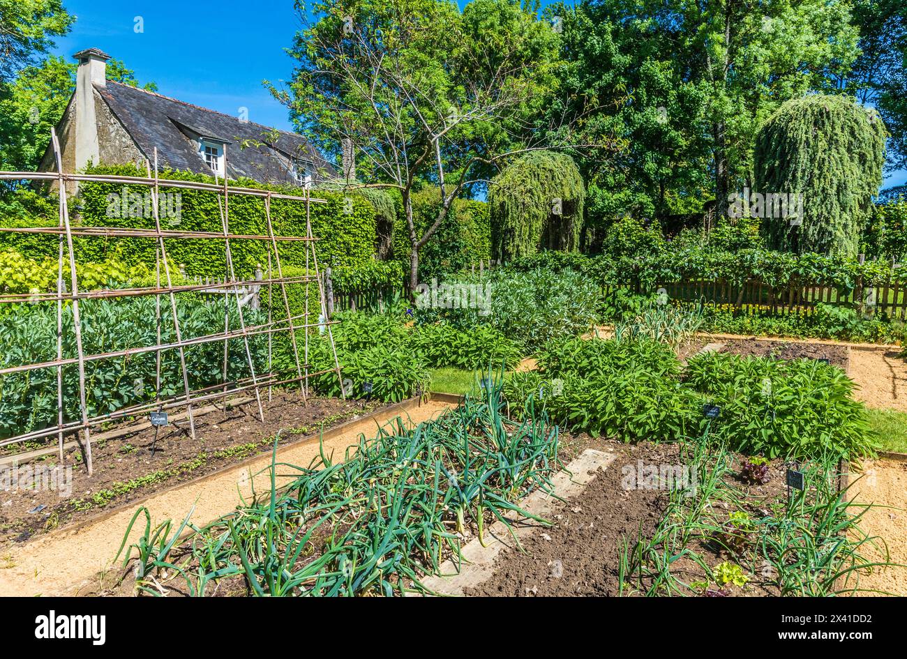 France, Perigord Noir, Dordogne, Jardins du Manoir d'Eyrignac ...