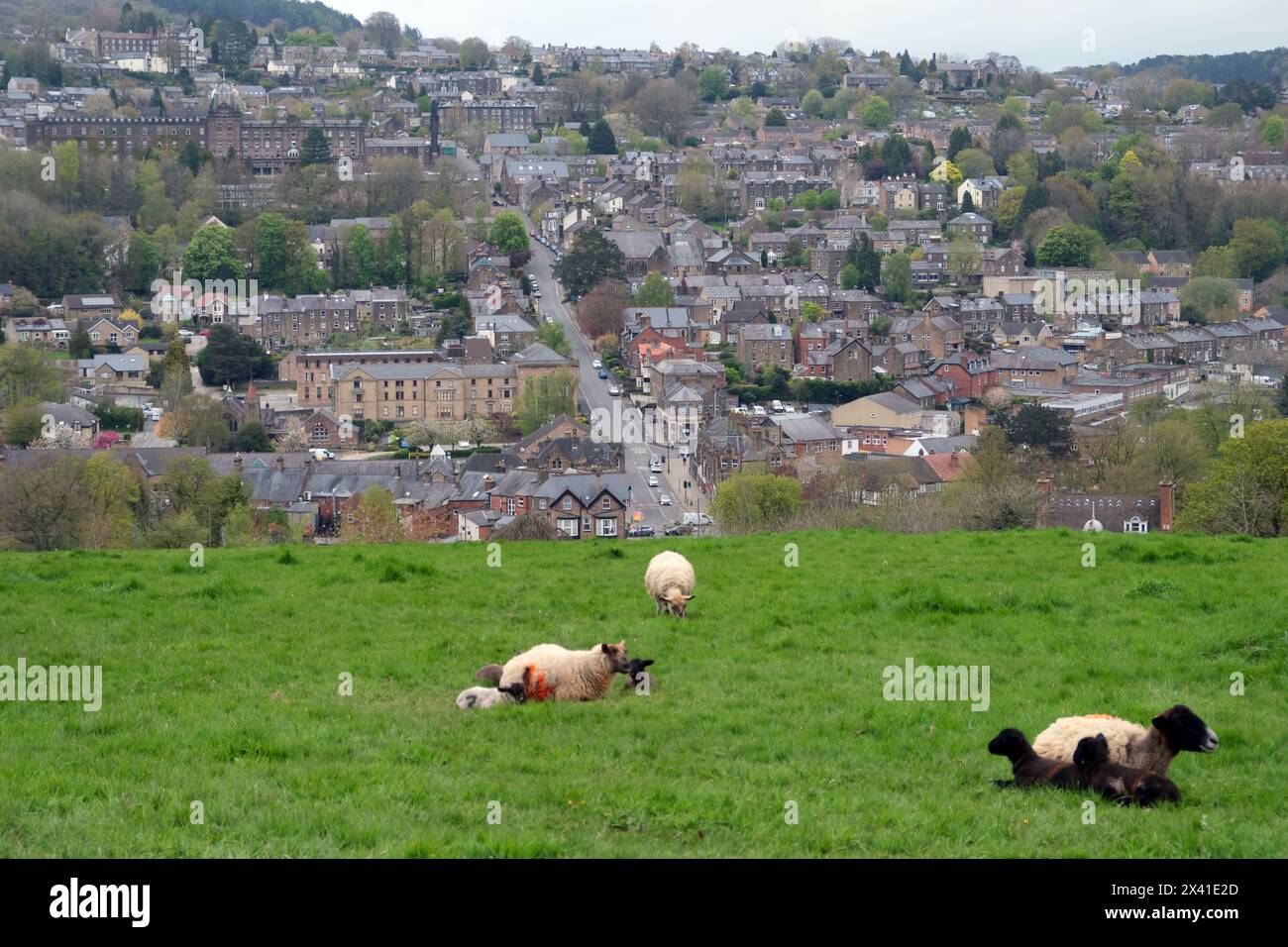 View of the town of Matlock from the surrounding countryside, Peak ...