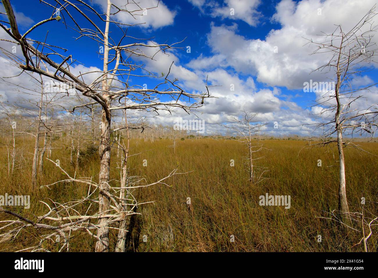 Loop road hi-res stock photography and images - Alamy