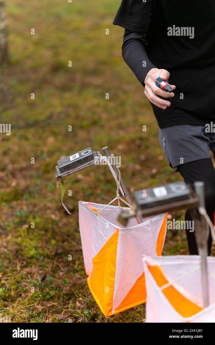 A boy punching at the orienteering control point close up. Boy in ...