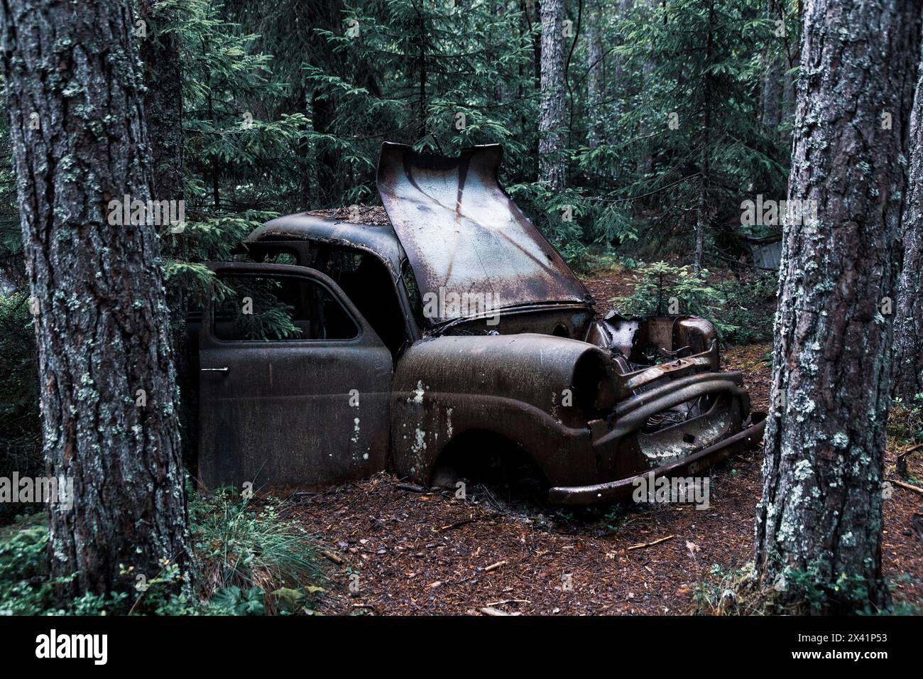 Antique car cemetery hi-res stock photography and images - Alamy
