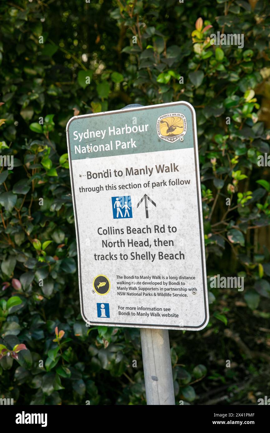 Manly to shelly walking route hi-res stock photography and images - Alamy