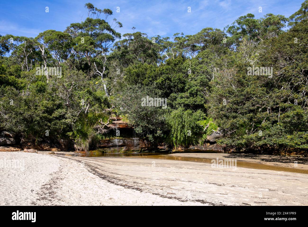Collins Flat Beach on North Head Manly is the only Harbourside beach ...
