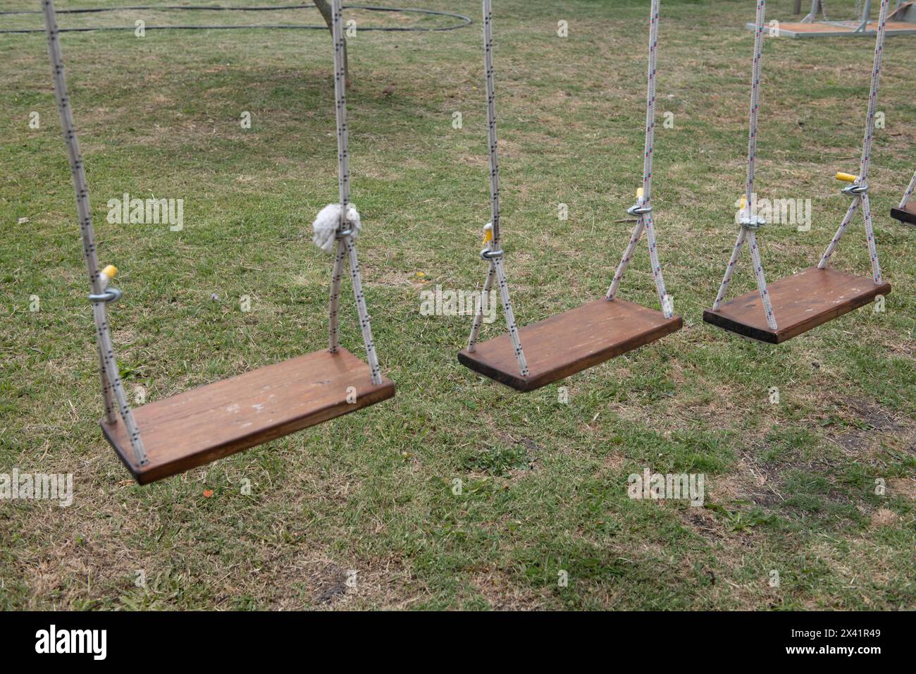 Four wooden swings are hanging from a rope in a grassy field. The ...